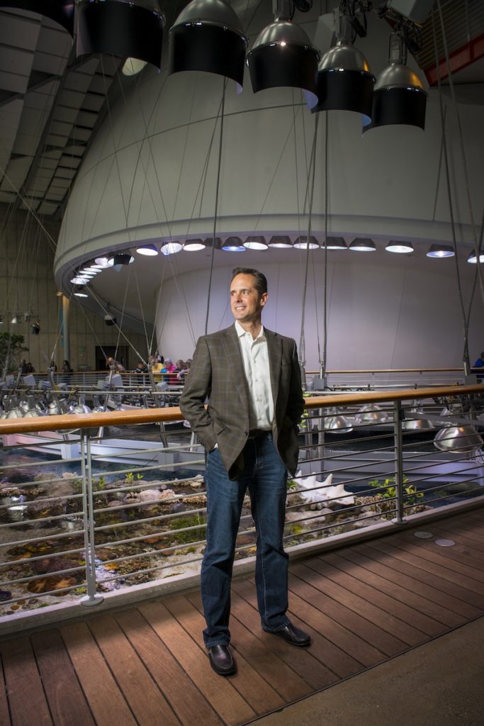 Storage Units, Now With Space to Cook, Relax and Entertain - Borelli ...